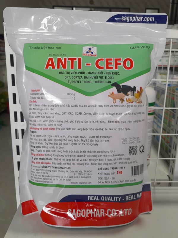 ANTI - CEFO - Hồng Cương